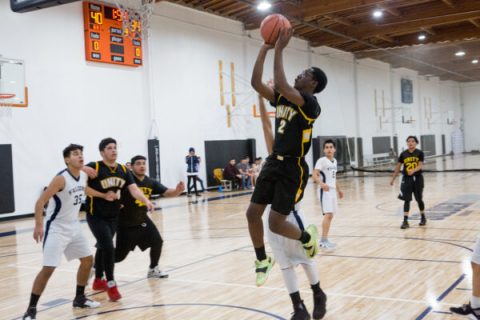 Tiger Atheltics - Oakland Unity High School